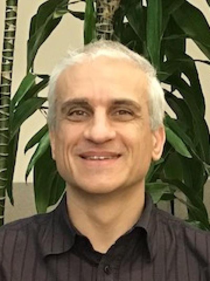 Areas, Faculty and Labs | Department of Psychology